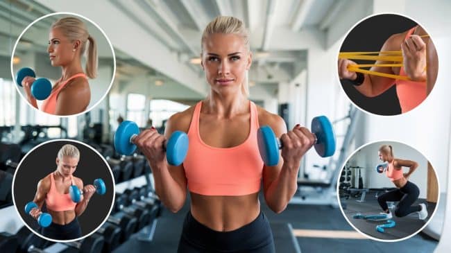 Muscler les bras en tant que débutant : les exercices qui m'ont donné ...